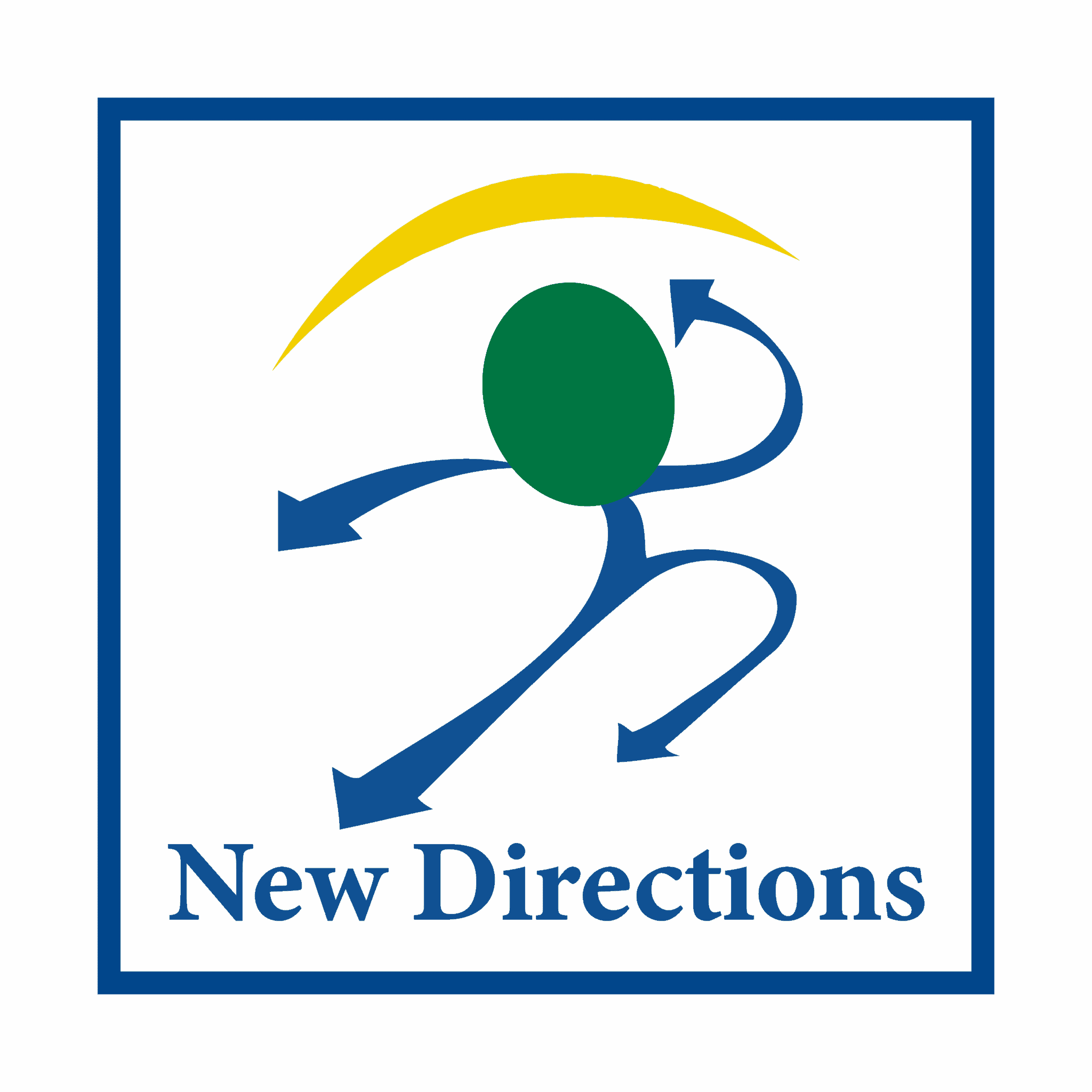 Make a Payment - New Direction for Young Adults